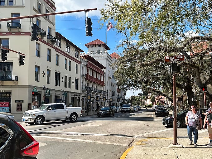 St. Augustine's historic district - where cobblestone streets tell stories older than your grandparents' dance moves, but twice as charming.