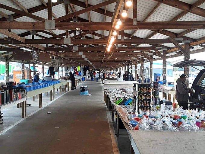 Barnyard Flea Market's endless aisles stretch like a cathedral of commerce. Each booth tells a different story, from fishing tackle to frying pans.