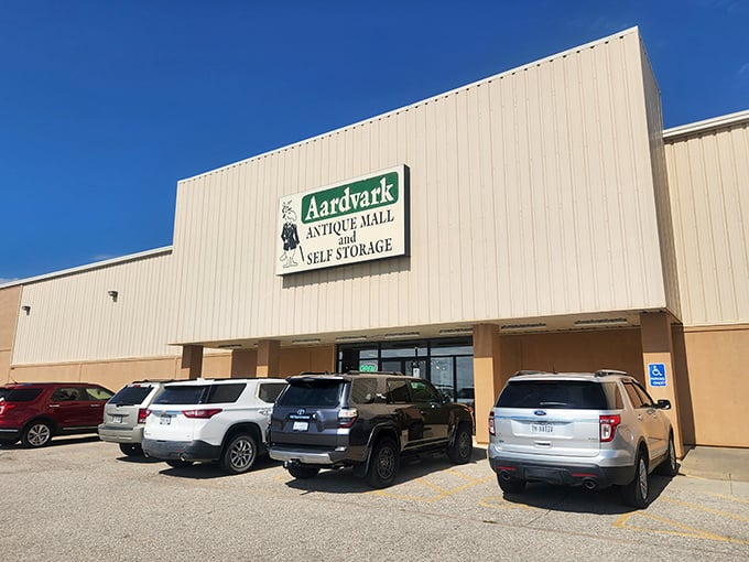 The Aardvark sign stands guard over a parking lot full of hopeful hunters. Cars wait patiently while their owners find history inside.