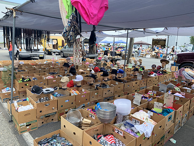 Cardboard kingdoms at Avenel Flea Market! Each box a mystery, each table an adventure waiting to unfold.