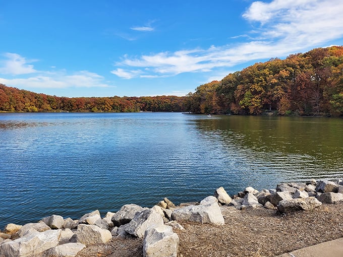 Blue skies, blue water! Beaver Dam State Park offers a refreshing escape where forest meets lake in a perfect Illinois harmony.