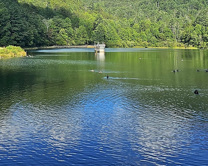 Black Rock Mountain's serene lake reflects the sky like a mirror &ndash; nature's own infinity pool without the resort prices.