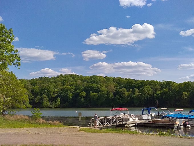 Burr Oak State Park: "Boating bliss! The kind of lake where time slows down and your only urgent notification is the call of a nearby blue heron."