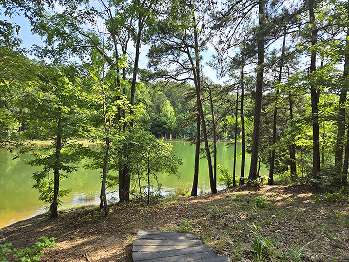Calhoun Falls' tranquil waters remind us that "social media" once meant telling fish stories at the lake.