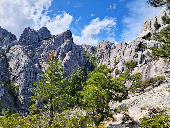 Jagged peaks pierce the wilderness like ancient castle towers, offering solitude that money can't buy.