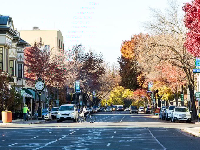 Spring blossoms frame Chico's walkable downtown, where your Social Security check stretches further than your imagination.
