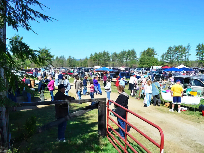 Tent city of treasures! Shoppers navigate this maze of possibilities while tall pines stand guard over vintage finds.