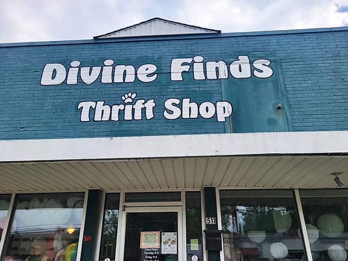 Behind that bright blue sign lies a wonderland of secondhand treasures. Divine Finds indeed!