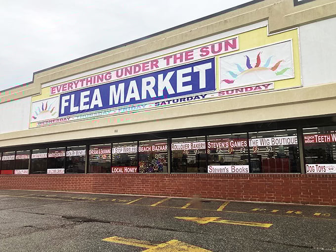 Where beach souvenirs meet vintage treasures. This North Myrtle Beach institution gives "retail therapy" a whole new meaning.