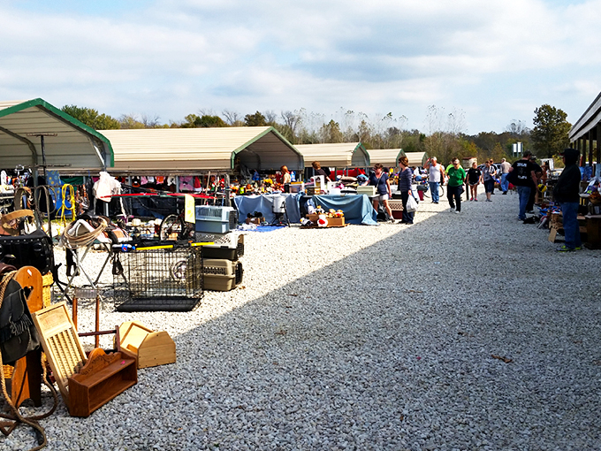 This is what shopping looked like before algorithms - pure discovery around every corner and aisle. 