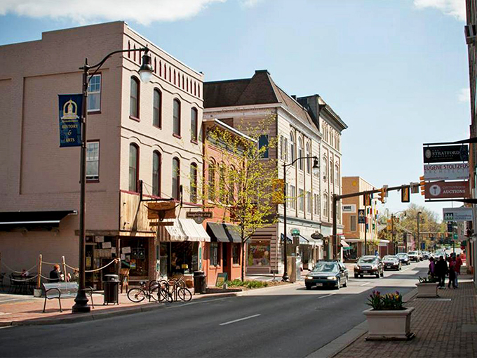 The Shenandoah Valley sunshine bathes Harrisonburg's brick facades in golden light. No filter needed for this postcard-perfect main street!