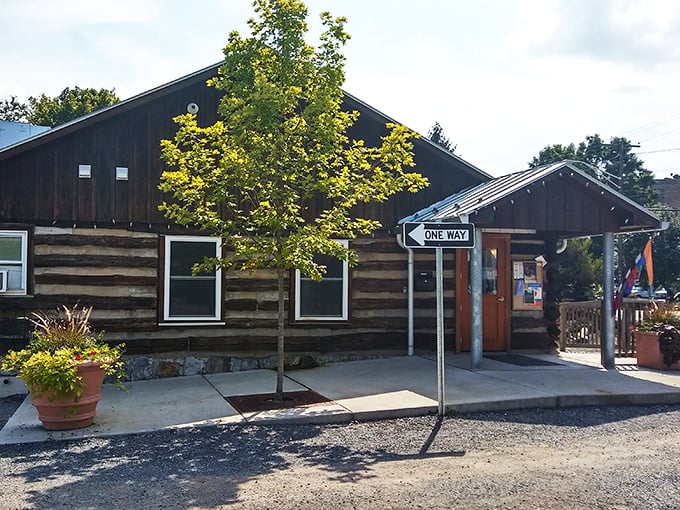 Sunshine bathes the charming log exterior of Hill & Holler, a pizza paradise disguised as a frontier homestead.