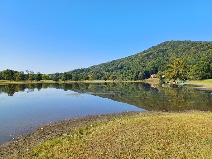 Blue skies, green trees, and calm waters &ndash; Indian Mountain State Park's recipe for perfect outdoor therapy.