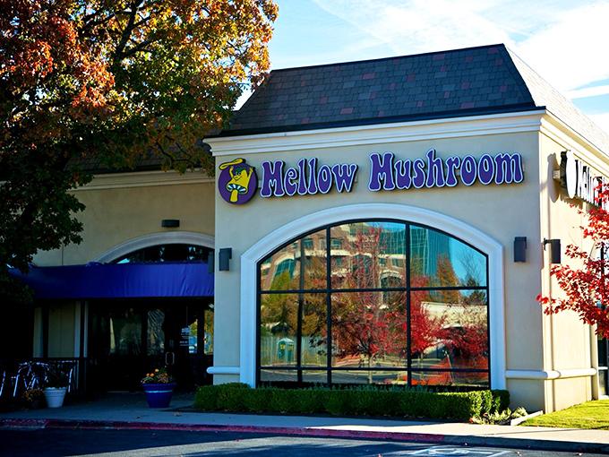 This cozy corner spot looks like the kind of place where every pizza tells a story worth savoring. 