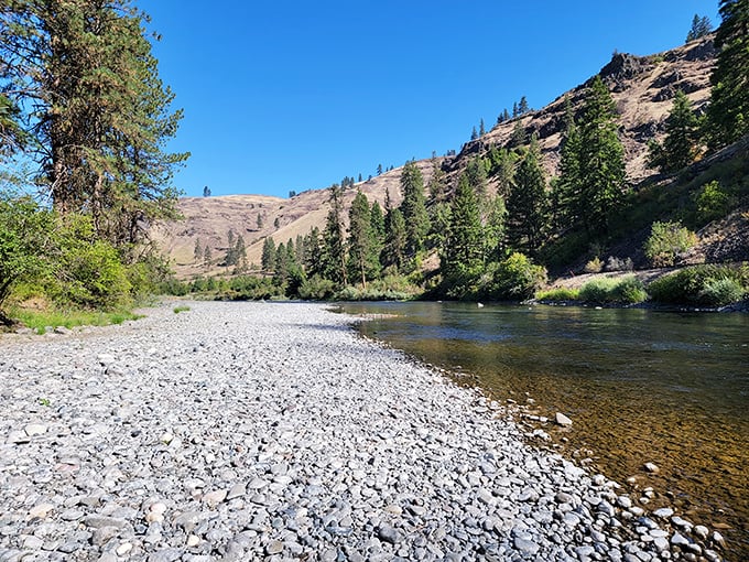 Mountain reflections dance on pristine waters where eagles soar and anglers find their zen.