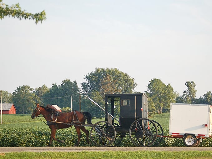 Where horse-drawn buggies and cornfields meet &ndash; Indiana's version of a traffic jam is actually quite peaceful.