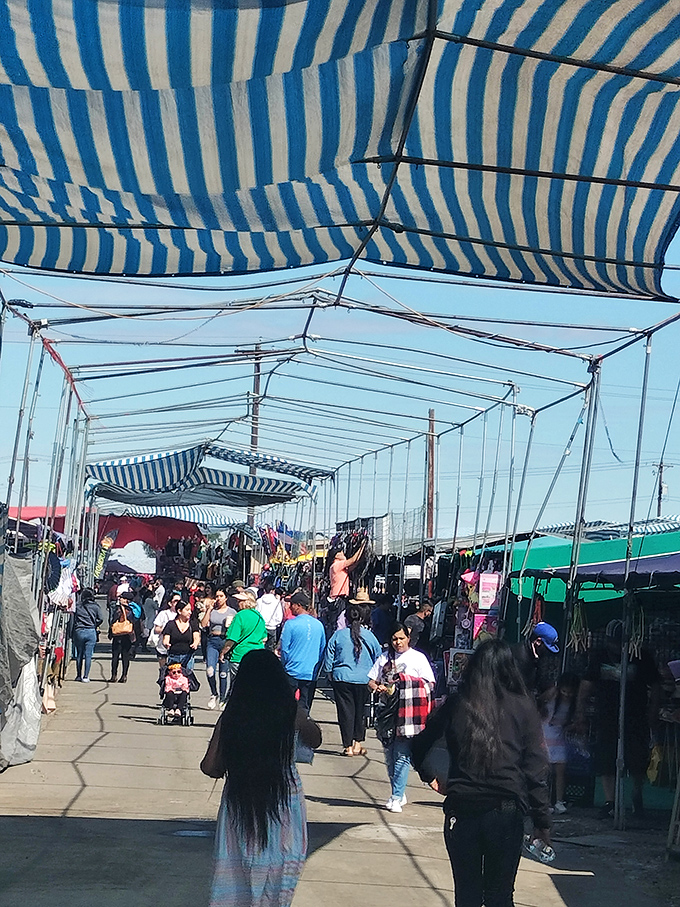 Bargain boulevard! The blue and white canopy corridor leads shoppers through a wonderland of possibilities and unexpected finds.