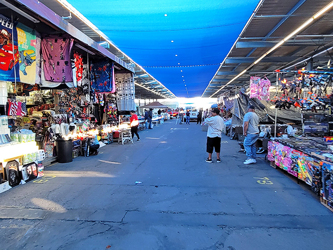 The wide aisles of Phoenix Park 'n Swap invite exploration. Like a retail Disneyland where the souvenirs are actually affordable!