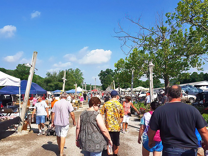 Rogers on market day is a sea of shoppers moving between tents like bees in a garden. Every patch of shade hides potential treasures waiting to be discovered.