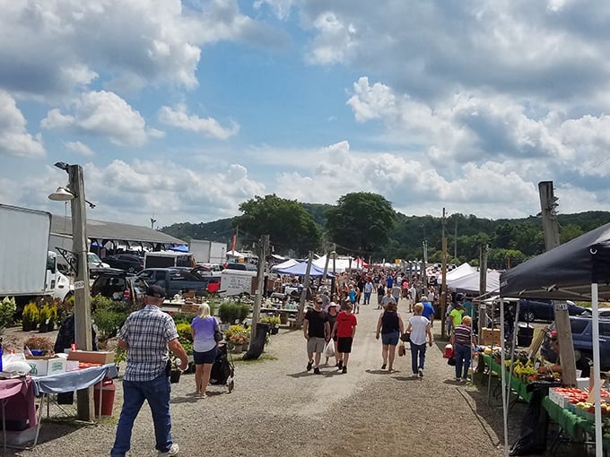 Sun-drenched pathways between vendor stalls at Rogers&mdash;where one person's castoffs become another's prized possessions.