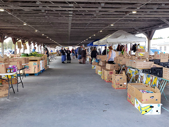 Beneath covered walkways, cardboard boxes hold mysteries waiting to be discovered by eagle-eyed shoppers.