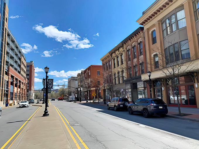 Historic architecture lines Scranton's streets, where yesterday's buildings tell today's stories. Even The Office couldn't capture this much charm.