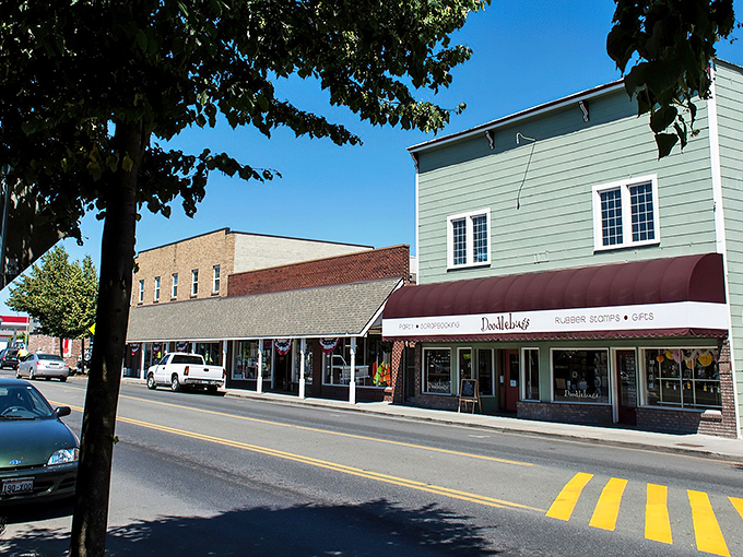 The sun-kissed streets of Sequim defy Washington's rainy reputation, creating a microclimate perfect for lavender and retirees alike.