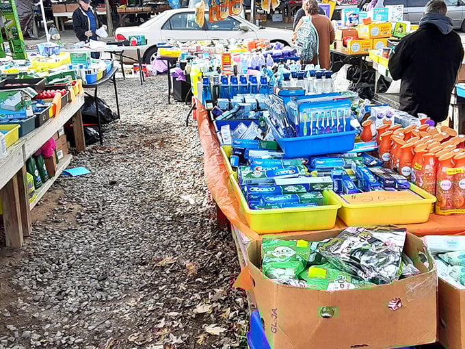 "I swear I saw Elvis's belt buckle somewhere in here yesterday!" Barnyard Market's household supplies section rivals any big box store.