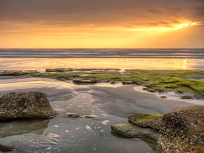 Waves meet coquina rock in a timeless dance at Washington Oaks, where the Atlantic seems to be showing off.