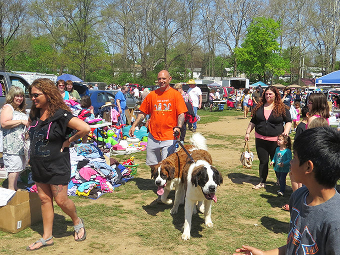 Browsers and bargainers mingle in the sunshine at Willow Glen, where every table holds potential discoveries waiting to be unearthed.