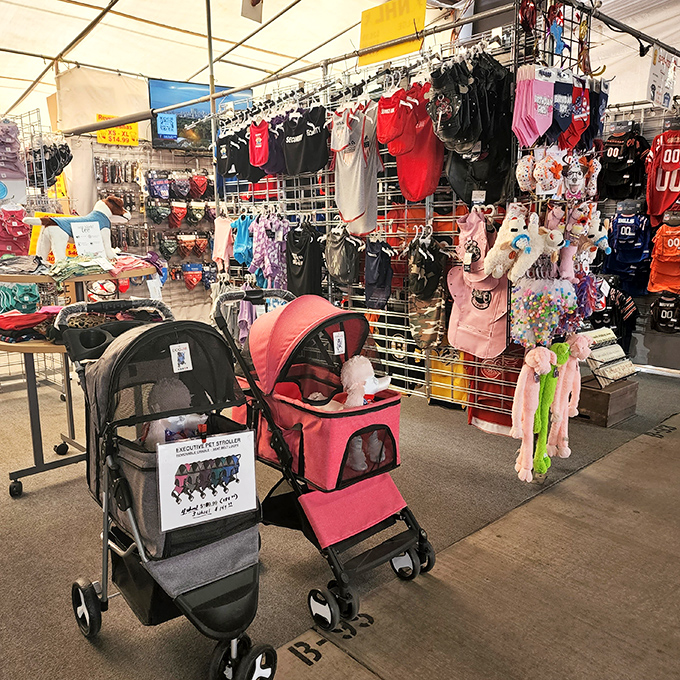 Even the littlest shoppers get their own transportation options, proving it's never too early to start the bargain hunting lifestyle.