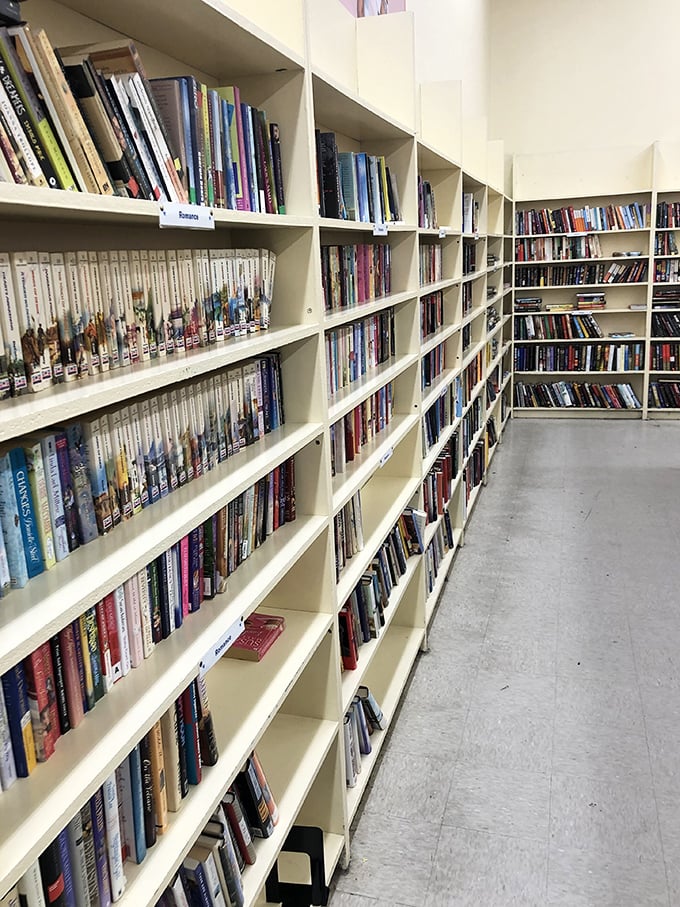 Bibliophiles rejoice! This literary wonderland offers everything from forgotten bestsellers to cookbooks that might just contain someone's grandmother's secret recipe notes.