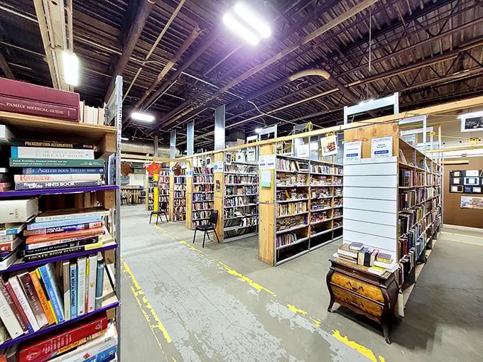 Industrial chic meets literary wonderland. Those exposed beams have witnessed countless readers finding their next favorite story beneath them.
