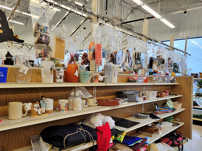 Every shelf tells a story of American domesticity &ndash; from vintage kitchen gadgets to holiday decorations that are ready for their second act.