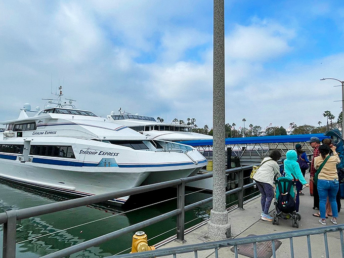 All aboard the Catalina Express! Like a time machine that runs on seawater, this ferry transports you from mainland madness to island tranquility in just an hour.
