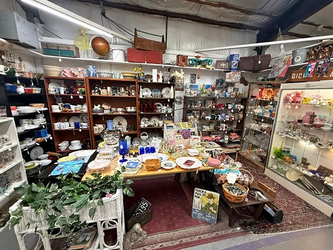 Every shelf tells a story in this ceramic wonderland. One person's forgotten china is another's conversation starter for Sunday dinner.