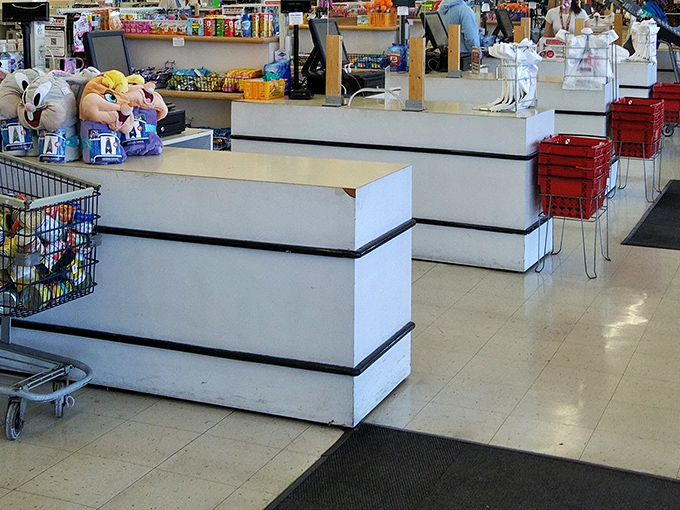 Where shopping carts transform into treasure chests and stuffed animals stand guard over future memories.