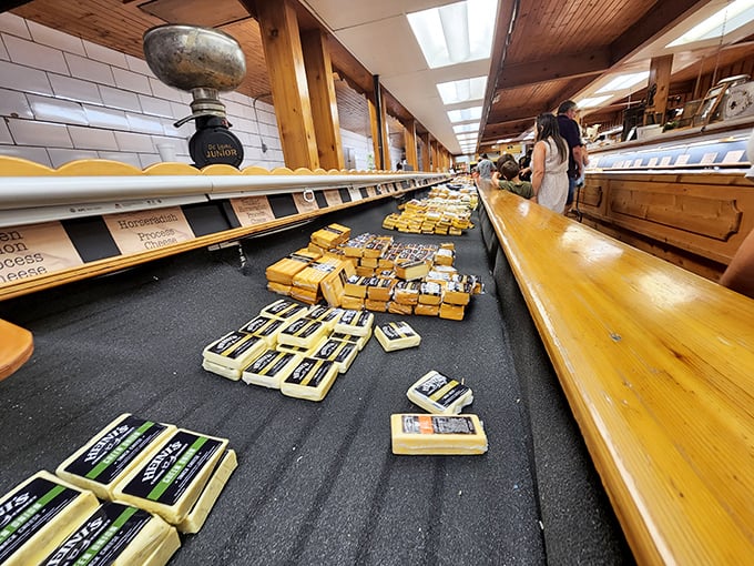 The cheese sampling counter stretches into infinity, a yellow brick road of dairy delights waiting to transform your taste buds forever.