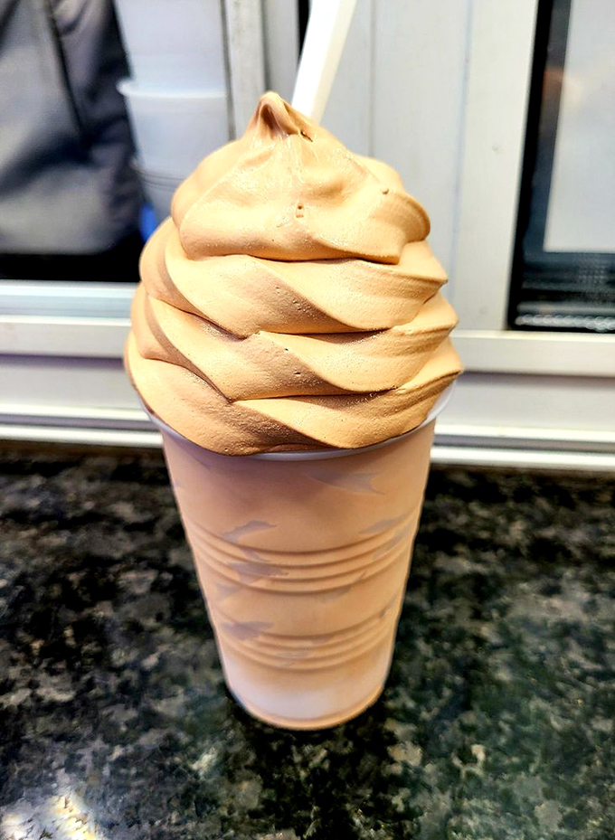 Behold the perfect swirl! This chocolate custard defies gravity while promising to redefine your relationship with frozen desserts.