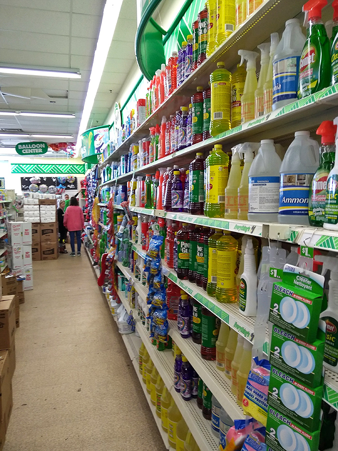 The cleaning supply aisle: where rainbow-colored potions promise to tackle everything from Florida's notorious humidity stains to mysterious substances left behind by visiting grandchildren.