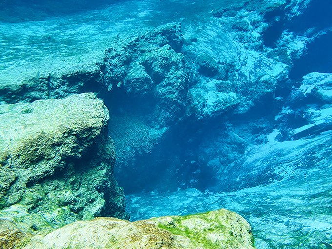 Neptune's living room, just 25 feet below the surface. The limestone formations create an underwater cathedral that's been millions of years in the making.