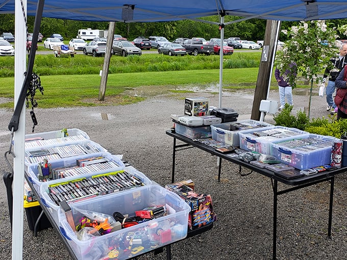 Entertainment nostalgia by the boxful! These plastic containers hold countless hours of movie nights and childhood memories waiting to be rediscovered.