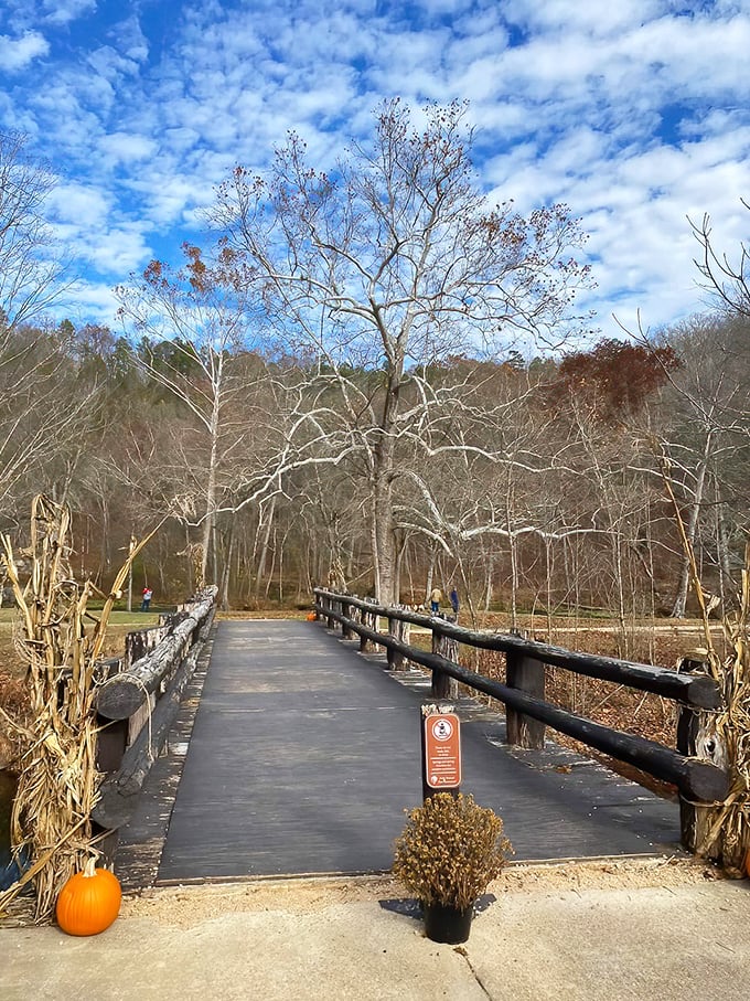 This rustic footbridge isn't just a path&mdash;it's an invitation to adventure, complete with autumn skies that look like they were painted by Bob Ross himself.