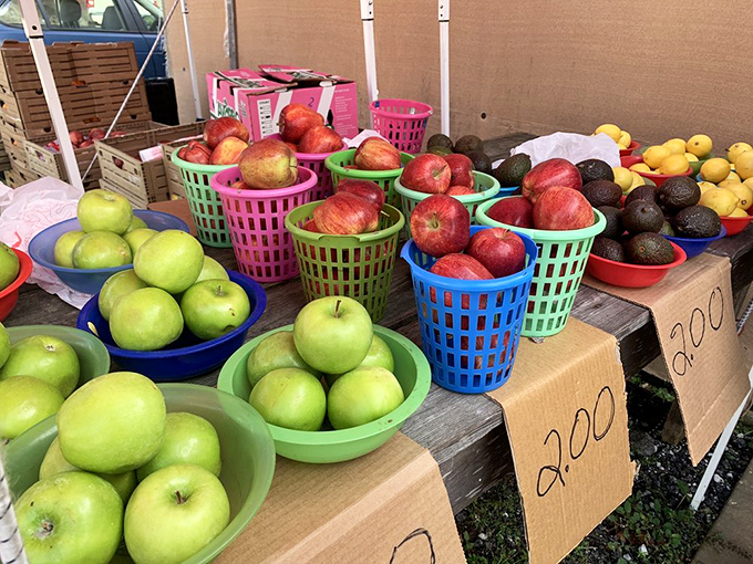 Nature's color palette on full display! These vibrant fruits aren't just food&mdash;they're edible art waiting to transform your ordinary breakfast into extraordinary.