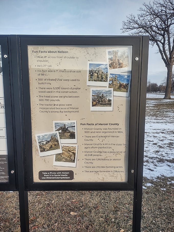 Fun facts that answer burning questions like 'How big IS a Sasquatch foot?' Turns out, size 598. No wonder he can't find shoes at the outlet mall.