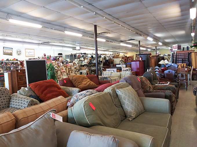 The furniture section resembles a living room museum where every couch has a story and every cushion invites you to imagine its next chapter.