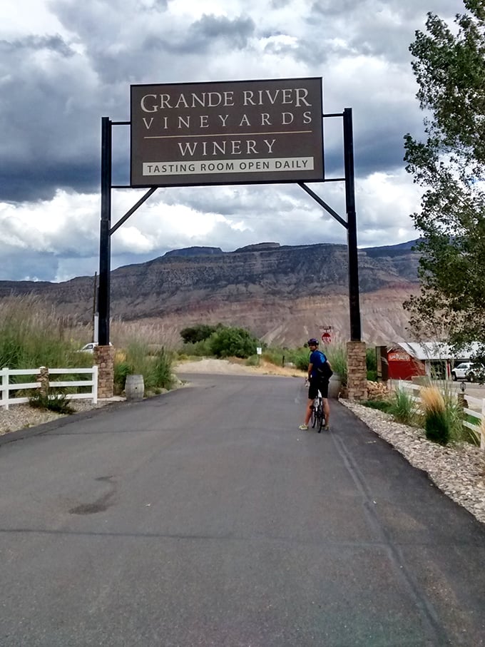 Grande River Vineyards welcomes cyclists and wine lovers alike, proving Colorado's high desert makes for surprisingly spectacular Merlot country.