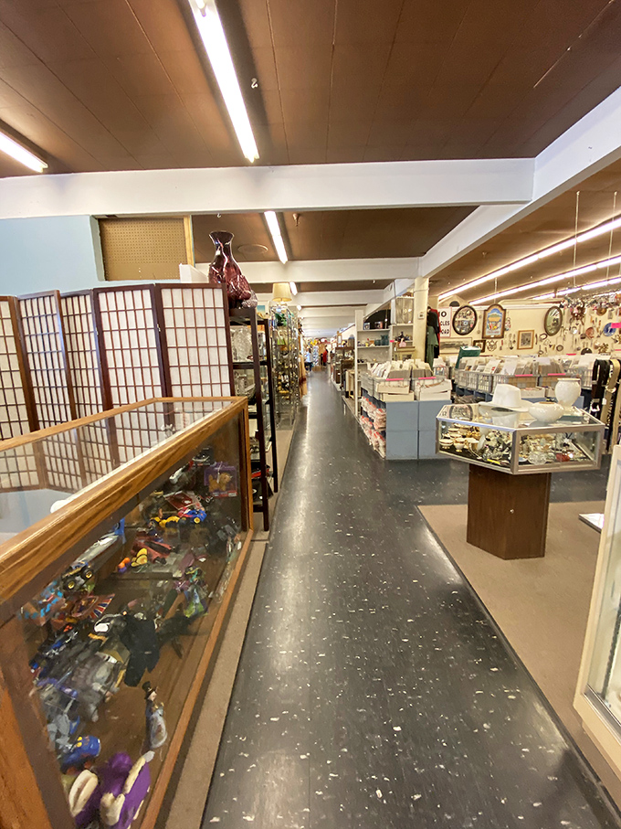 Aisles that stretch like time itself, each turn revealing another decade's worth of treasures waiting to be discovered.