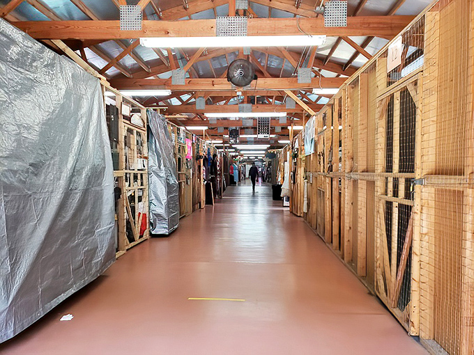 Wooden stalls create a honeycomb of commerce, each cell containing its own universe of previously-loved possibilities.