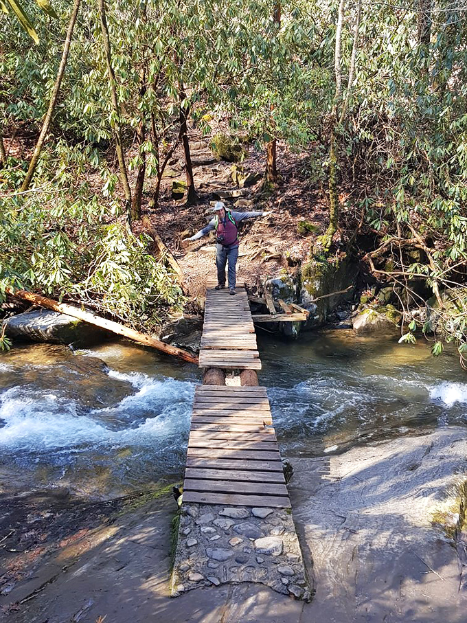 Nature's obstacle course! This wooden footbridge over rushing waters offers the perfect blend of adventure and serenity on the Hemlock Falls Trail.